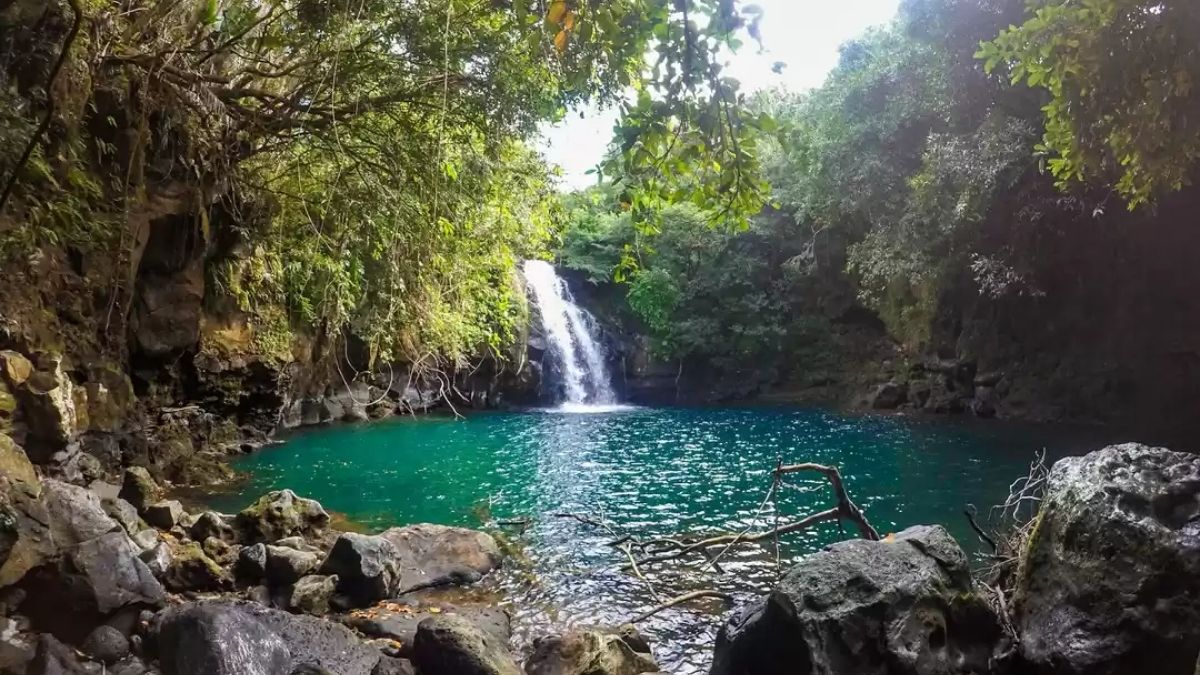 7 Hidden Waterfalls in Mauritius Near Port Louis